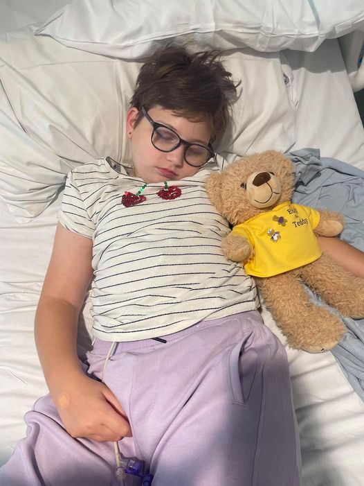 Official Eddy The Teddy Store® – Eddy the Teddy Bear