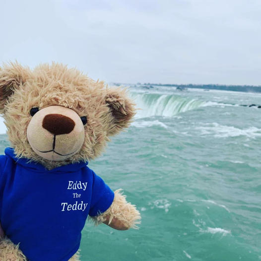 Official Eddy The Teddy Store® – Eddy the Teddy Bear